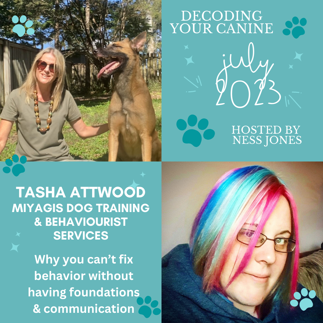 Decoding your canine summit – Mutts 'N' Mischief