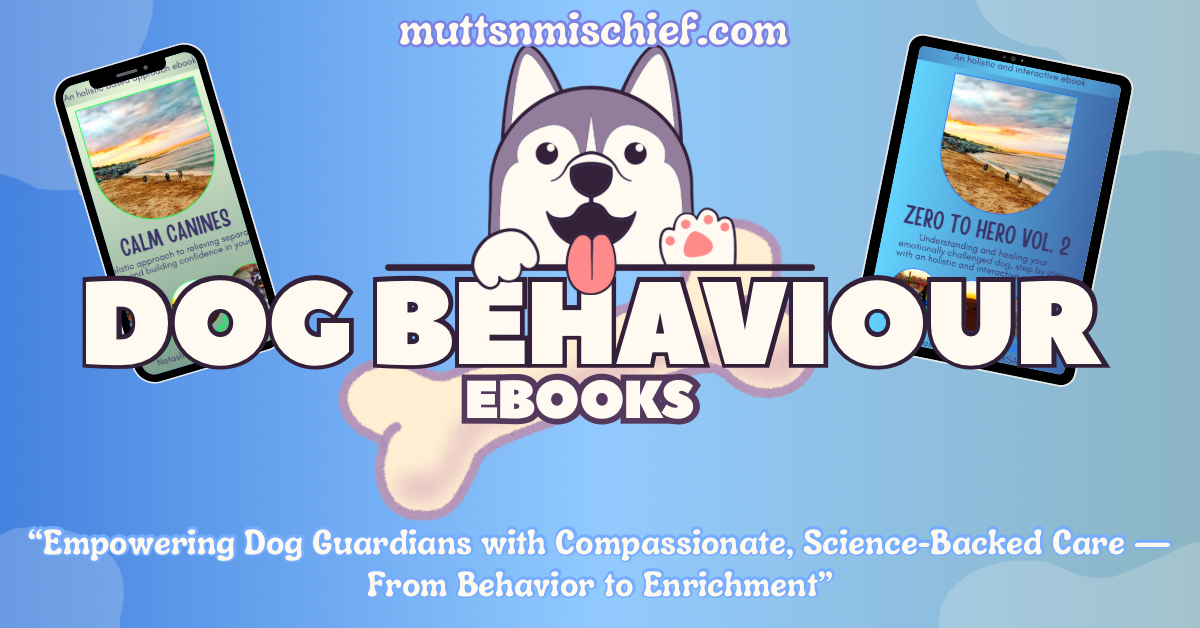 Transform your dog’s life – Mutts 'N' Mischief