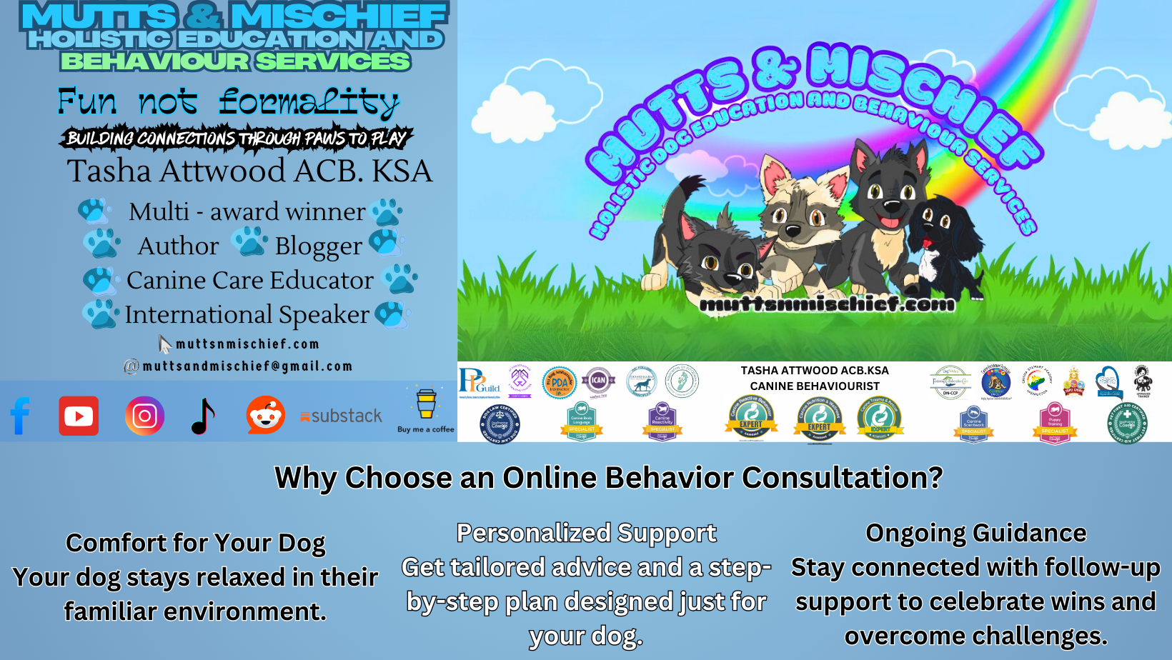 🌟 Fun, Not Formality — Building Connections Through Paws to Play 🌟 – Mutts 'N' Mischief