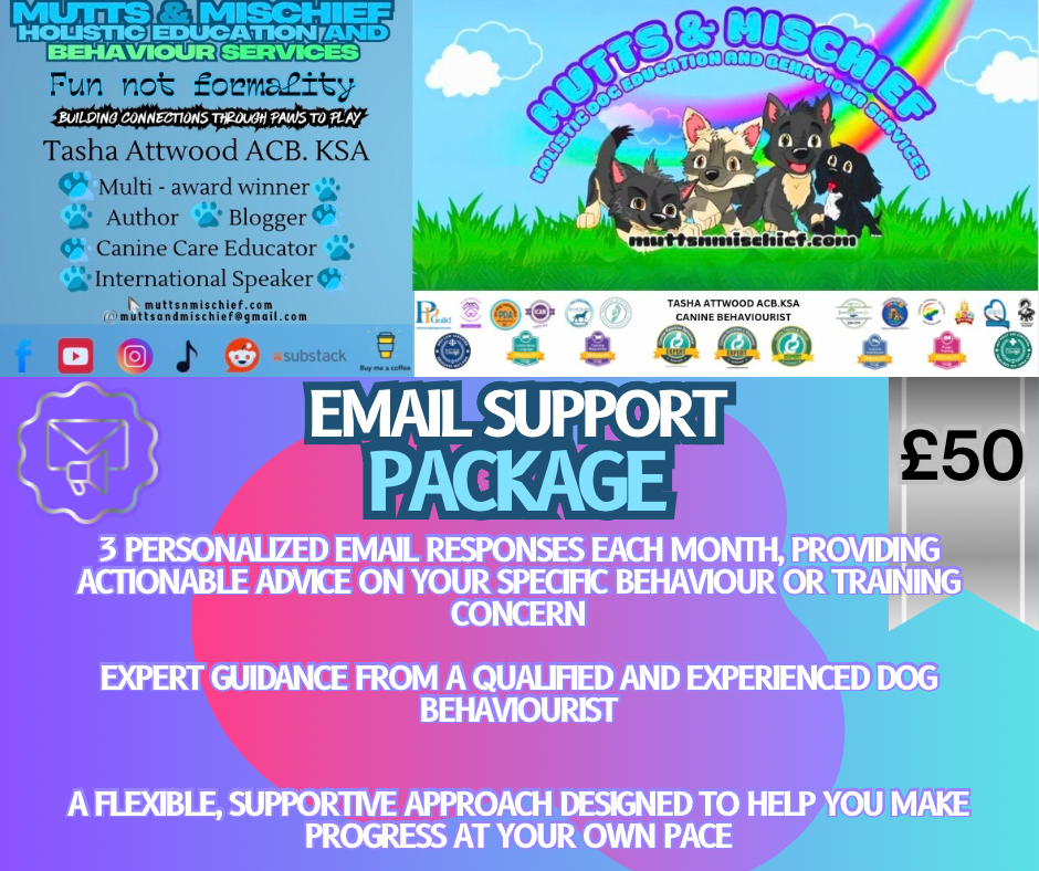 Mutts and Mischief Holistic Education and Behaviour ServicesFun, Not Formality — Building ...